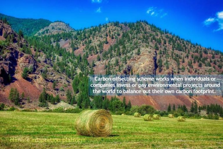 Carbon Offsetting - A Climate Adaptation and Mitigation Option