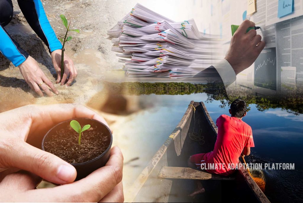 What The Global Climate Adaptation Research Collection Tells Us