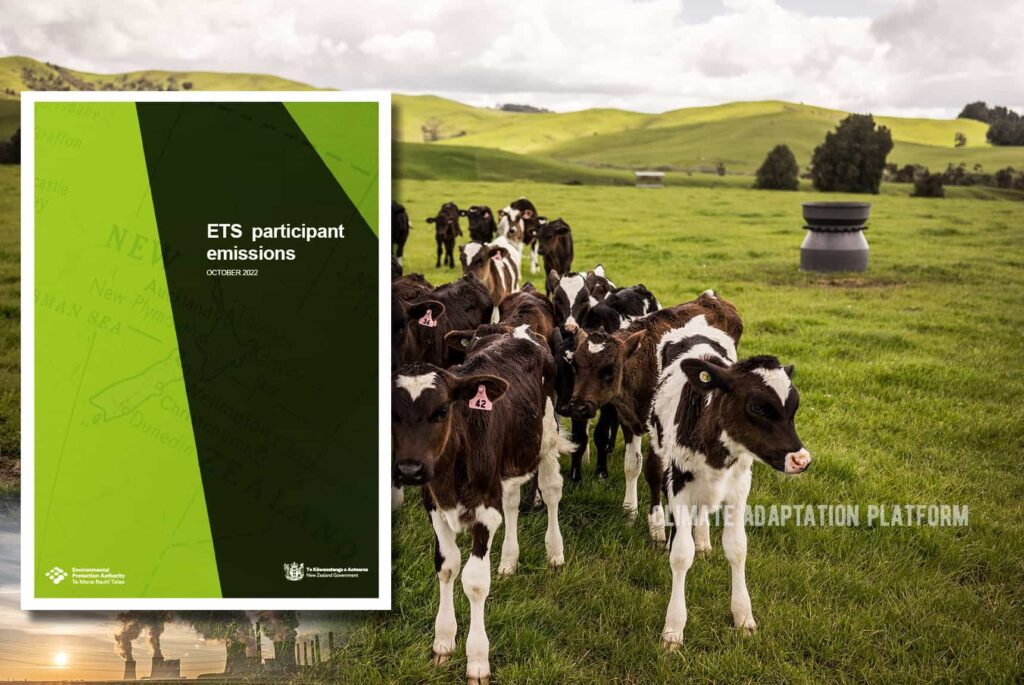 Agricultural Sector is New Zealand's Biggest Climate Polluter in 2022 ...