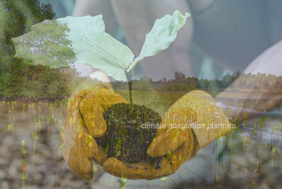 Exploring Nature-Based Climate Adaptation Measures - Climate Adaptation ...