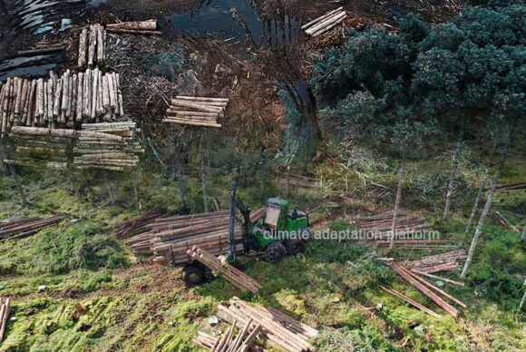 Turning Forestry Slash into Energy is a Climate Adaptation Effort ...