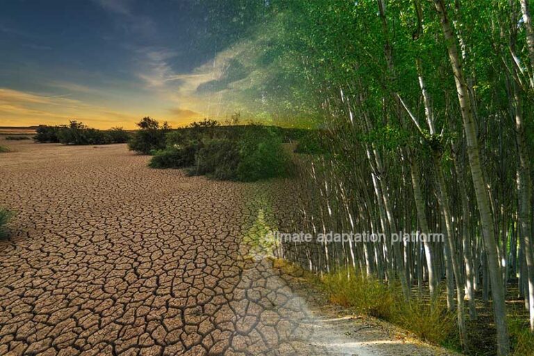 Climate Change and Other Global Drivers of Disease Outbreaks - Climate ...
