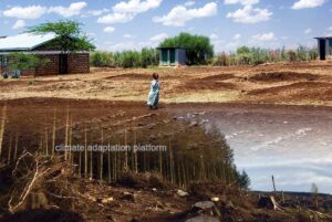 Climate Change Mitigation thru Land & Forest Restoration in Kenya ...