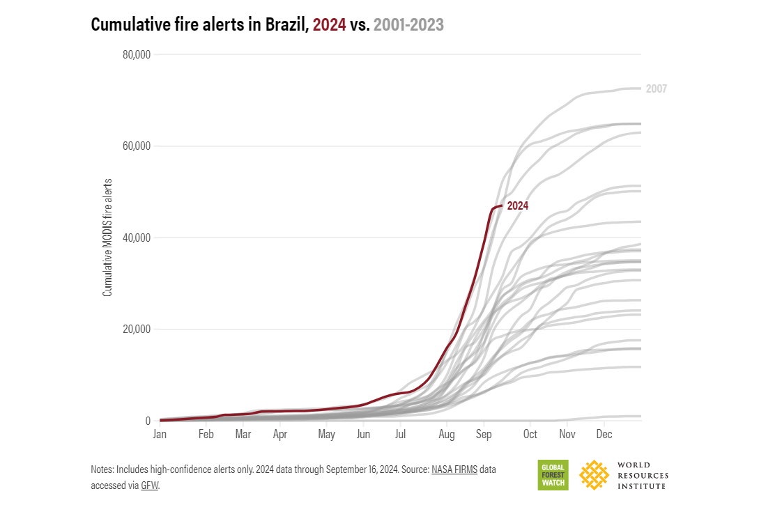 What’s Fueling Brazil's Worst Fire Season in a Decade? - Climate ...