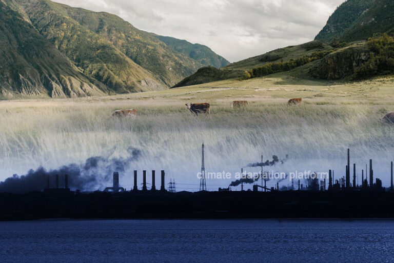 Denmark is First Country to Tax Agriculture Emissions - Climate ...