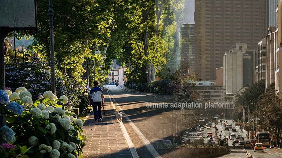 Cities Fight Air Pollution with Greener Transit and Green Spaces ...